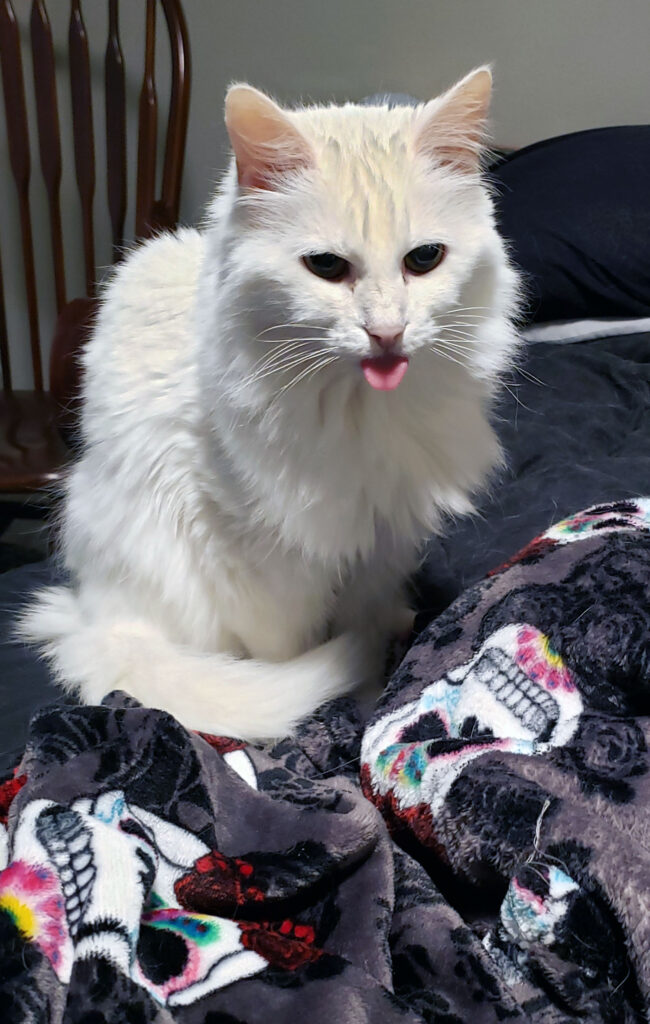 Applause, Applause and More Applause! - RoadBroads - Women writers ...